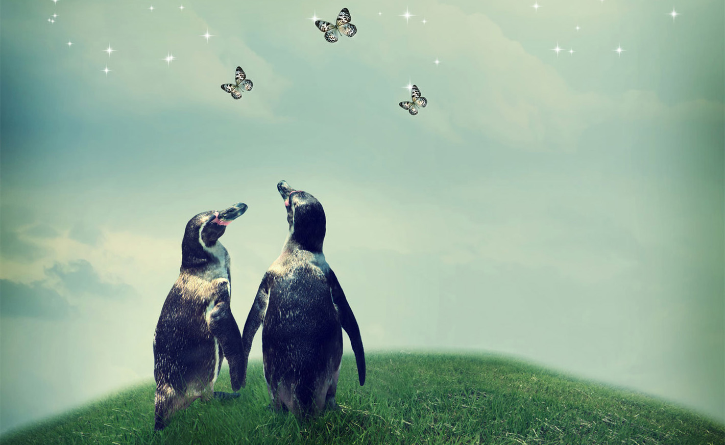 Software Development Pty Ltd | Home